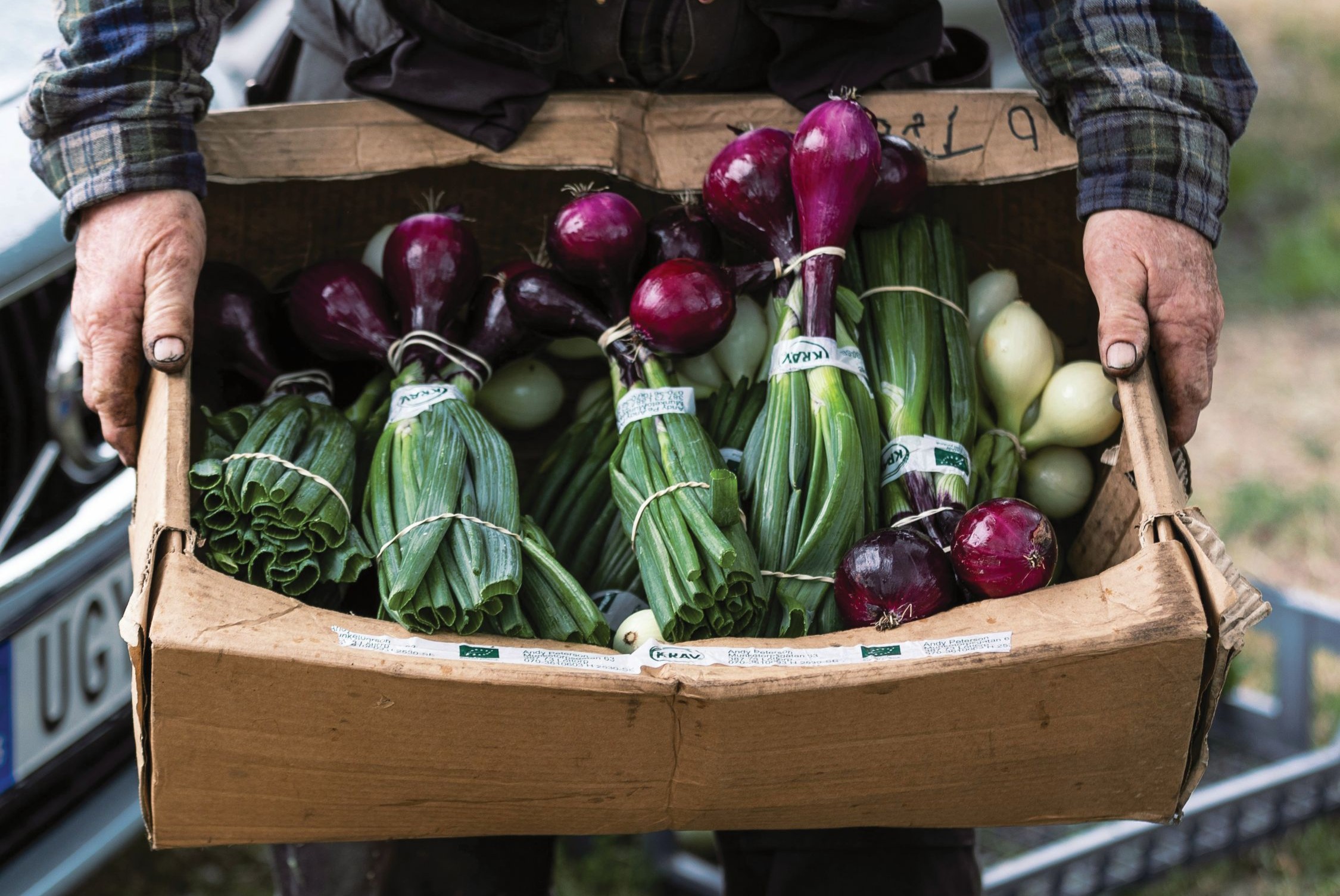 You can protect biodiversity - alive@work